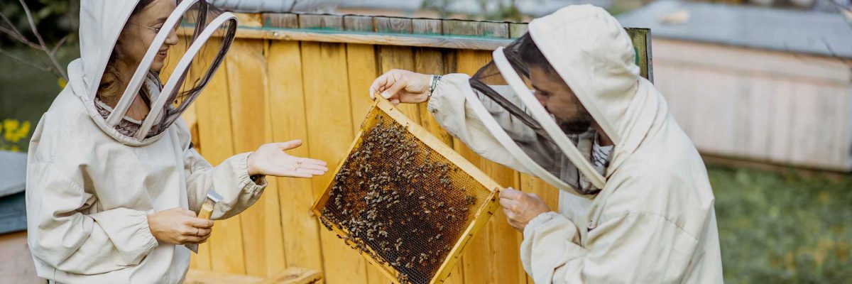 Beekeeping Home – Mellifera